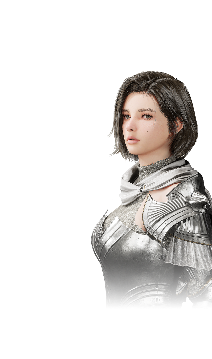 Vindictus: Defying Fate